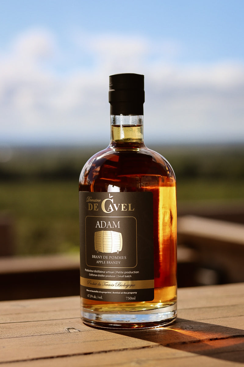 Adam Brandy – Domainedecavel